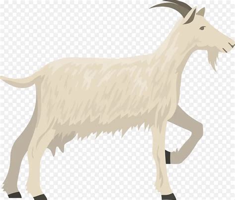黄色卡通山羊png图片素材下载图片编号ydorvnel 免抠素材网