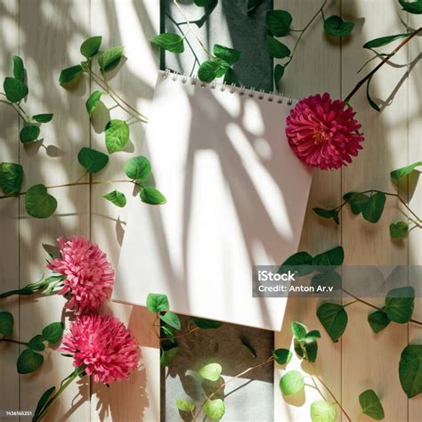 열린 빈 메모장과 꽃은 흰색 나무 테이블에 있습니다 녹색 잎이있는 가지가 근처에 흩어져 있습니다 복사 공간이 있는 추상 식물 구성 플랫 레이 평면도 배경 주제에 대한 스톡