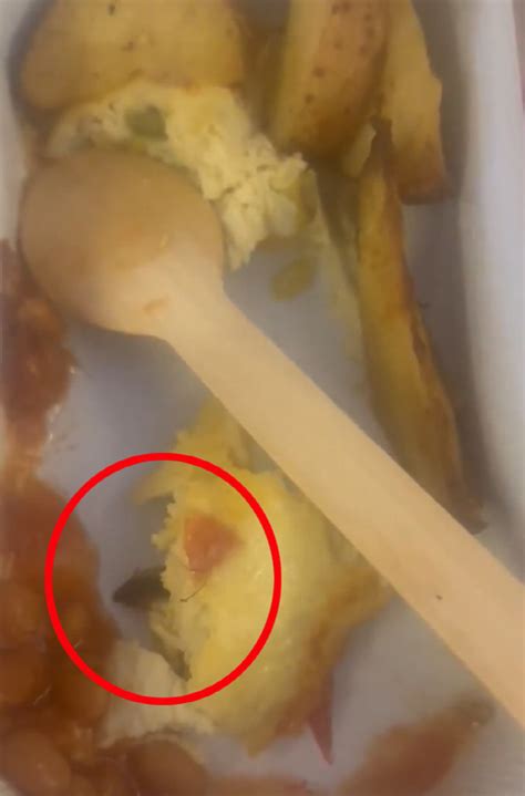 Cockroach For The In Flight Meal Mold For The First Class Which Airl Sportschosun