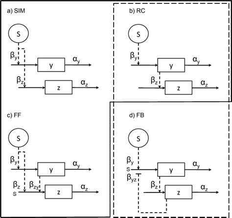 Network Motifs A Single Input Motif Sim B Regulatory Chain Motif