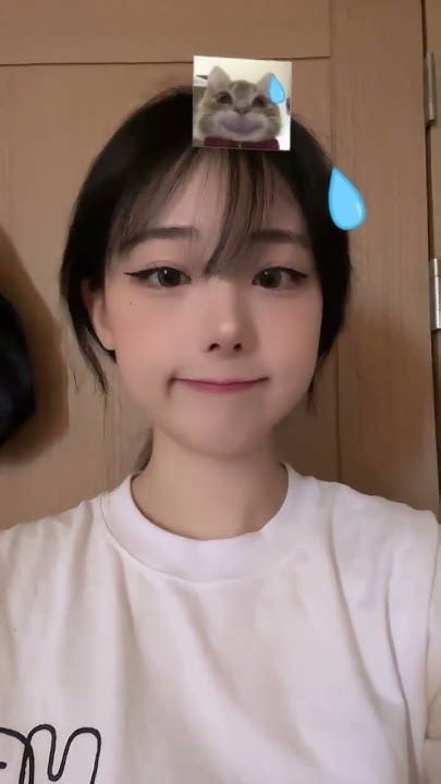 고앵이 임티 따라하기 Youtube