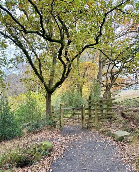 Falling Foss Waterfall Walk Scenic North York Moors Circular Trail