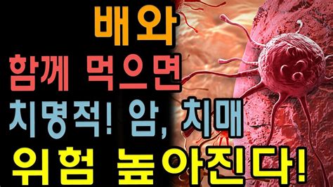 배와 함께 먹으면 치명적 암 치매 위험 높아진다 배의 최악 궁합과 혈관 신장 건강 살리는 놀라운 비법 Youtube