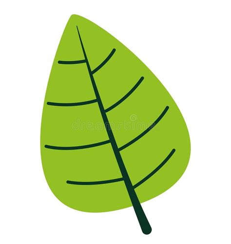 Leaf Plant Nature Element Stock Illustration Illustration Of