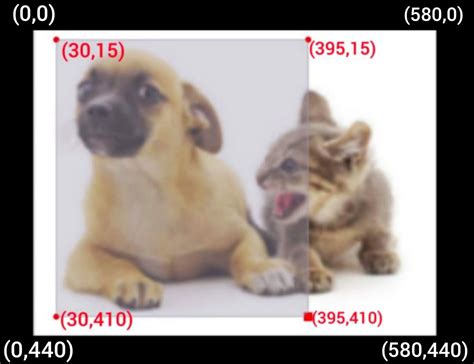 Bounding Box Formats For Models Like Yolossdrcnnfast Rcnn Faster Rcnn By Lohithmunakala