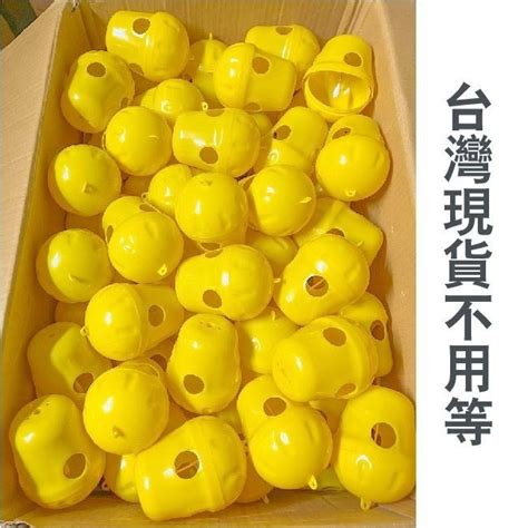 🪰 誘捕神器「蜂啊灯」專除海量果蠅｜環保 無毒安全｜捕果蠅｜防果蠅｜果蠅誘捕｜果蠅剋星｜果蠅捕捉器｜甲級丁香油 新社種苗 專業蔬菜種子