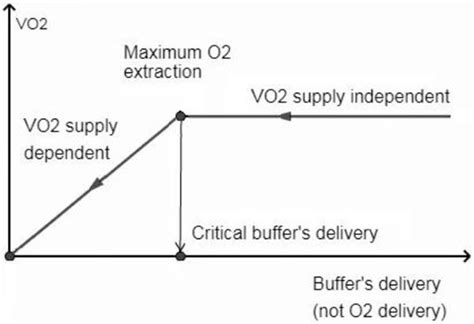 Oxygen Consumption Vo2 Is Independent When Perfusion Allows
