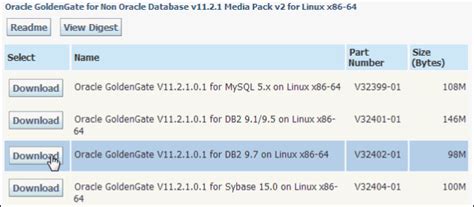 Ogg On Linux Oracle 11g And Db2 9 7