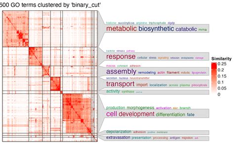 Simplify Gene Ontology Go Enrichment Results — Simplifygo