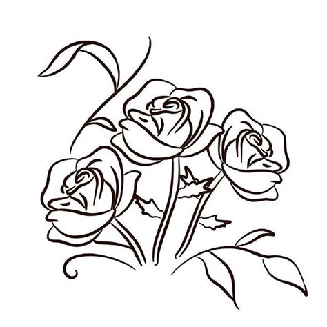 玫瑰丛怎么简笔画 玫瑰花丛简笔画简单 玫瑰丛简笔画 第10页 大山谷图库