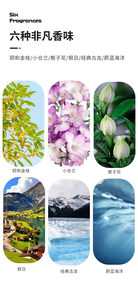 厂家批发金属款车载香薰出风口汽车专用高级感海洋调小苍兰香薰片 阿里巴巴