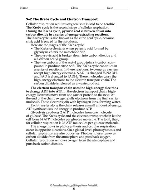 Ch 9 Cellular Respiration Notes Pdf