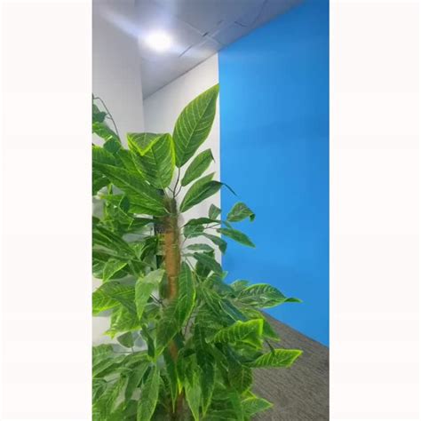 Kodesinc On Linkedin When The Content Creators Walk In Operation Hide