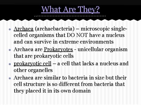 Kingdom Archaea Archaebacteria The Extreme Prokaryotes What Are