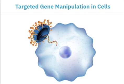 Self Amplifying Rna Synthetic Agenda