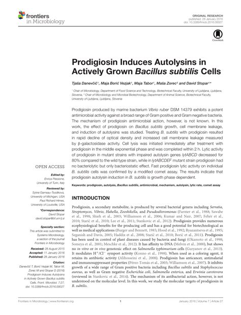Pdf Prodigiosin Induces Autolysins In Actively Grown Bacillus Subtilis Cells