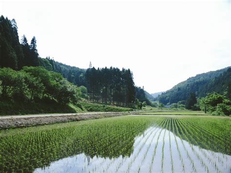 Real Satoyama Remote Villages Satoyama Experience