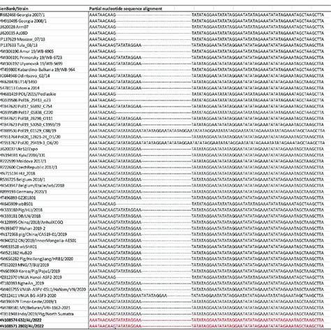Nucleotide Sequence Alignment Of The Partial Intergenic Region Between Download Scientific