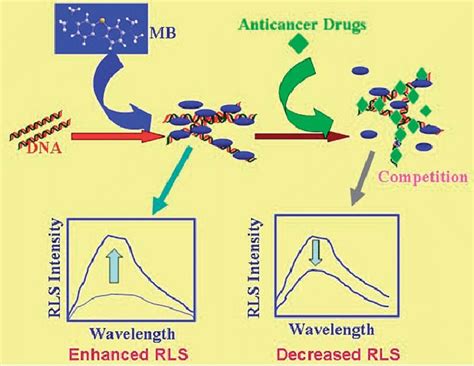 Scheme The Screening Model Of The RLS Method Download Scientific Diagram