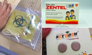 Jenis Ubat Cacing Boleh Dapat Di Pasaran Amalkan Makan Bulan Sekali