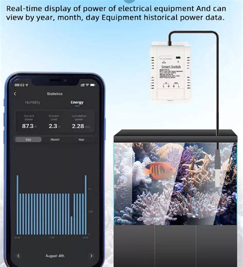 Tuya Smart Wifi Switch With Temperature Probe And Consumption Measurement