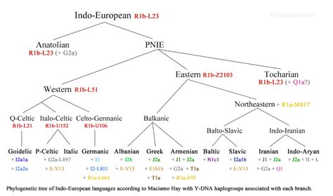 Proto Indo European Word List