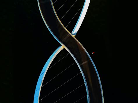 Epigenetics Pictures Download Free Images On Unsplash