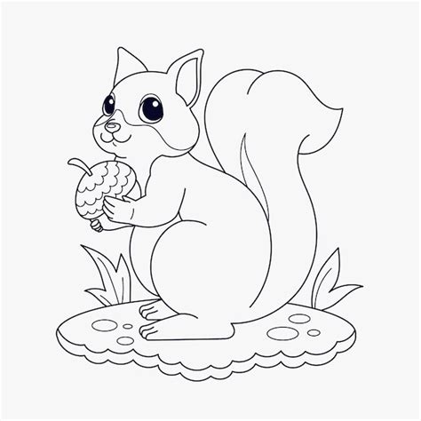 Squirrel Drawing Outline