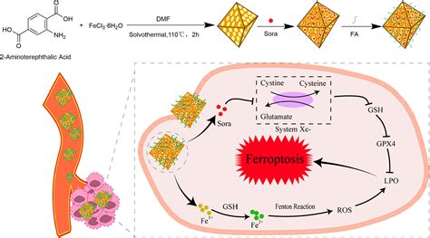 Applied Organometallic Chemistry Vol 38 No 6
