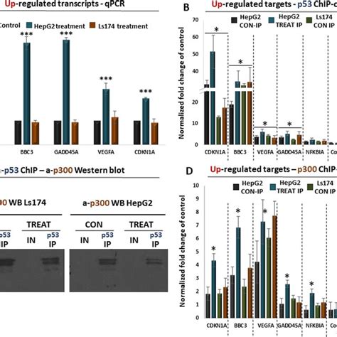 Rt Qpcr And Chip Qpcr Analysis Of Selected Target Genes A Rt Qpcr