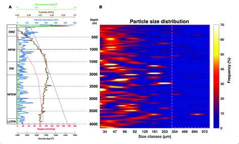 Particle Abundance Size Distribution And Oceanographic Parameters
