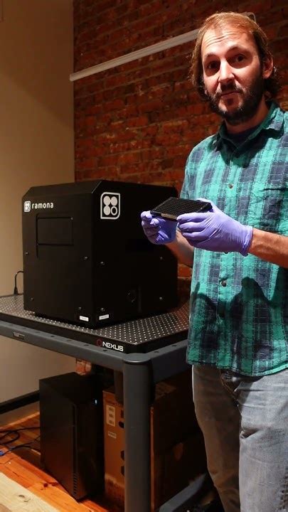 Rapid Screening Of Cerebral Organoids With A Multi Camera Array