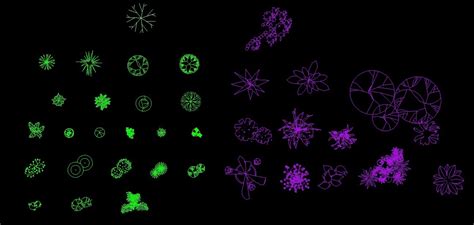 Trees Palm Trees And Shrubs Plant Top View Plan 2d Dwg Block For