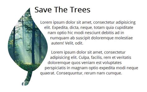 Css Shapes 101 Css Web Design Tips Web Design Typography