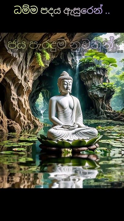 මාගේ සම්මා සම්බුදු රජාණන්වහන්සේ සියලු පාපයන්ගෙන් මිදුන සේ ක 🙏🙏🙏🙏🙏🙏🌸🤗 Youtube