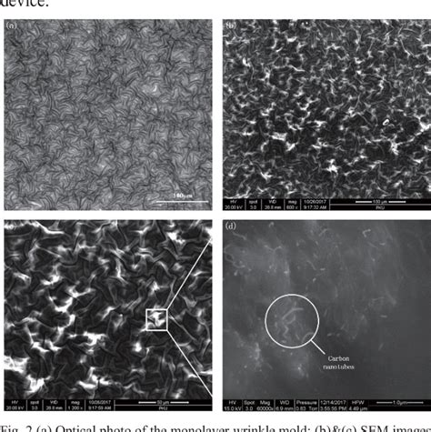 Figure 3 From A Highly Sensitive Flexible Piezoresistive Sensor Based