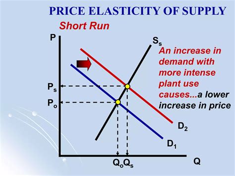 Elasticity Ppt