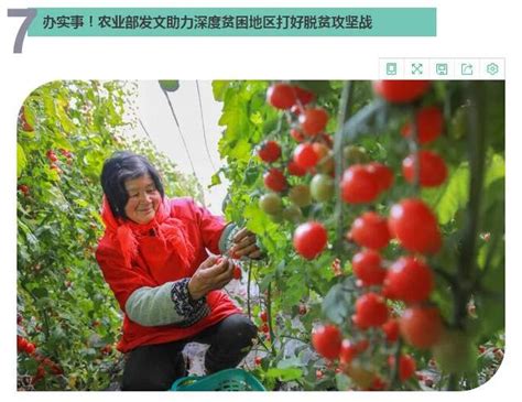 全是好消息！國務院你，別錯過本周7件民生大事 每日頭條