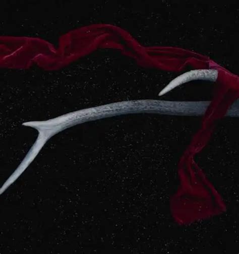 Sqlite3를 파이참에서 Sql로 사용하는 방법 델피니아