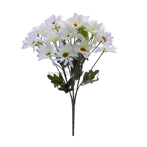 Букет ромашек на прозрачном фоне фото и картинки Abrakadabra Fun