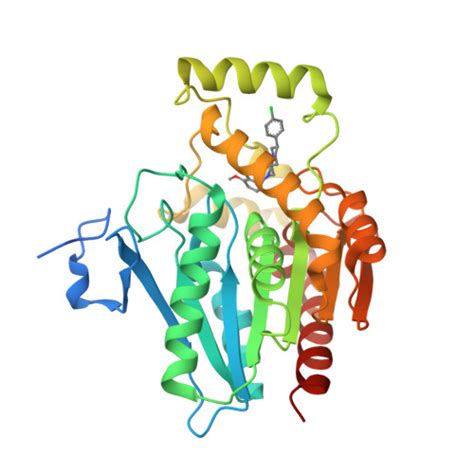Rcsb Pdb 7zpg Crystal Structure Of Human Monoglyceride Lipase With