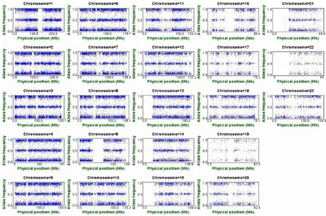 Allele Frequency Plot Of A Normal Sample NA From The YRI Download Scientific Diagram