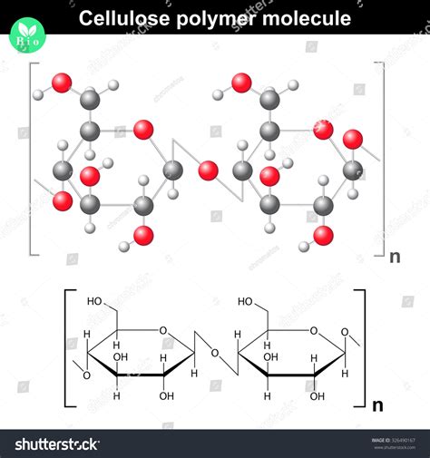 Cellulose 3d Model