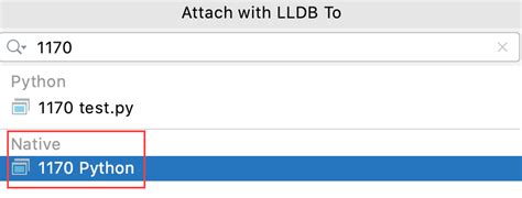 debug python extensions clion documentation