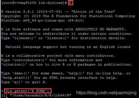 Oserror Cannot Load Library Rlib64rliblibrso Librblasso
