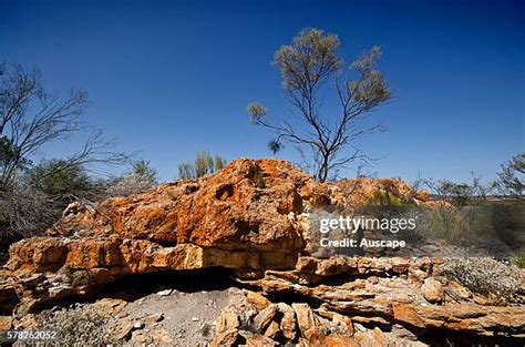 Great Escarpment Australia Photos And Premium High Res Pictures Getty