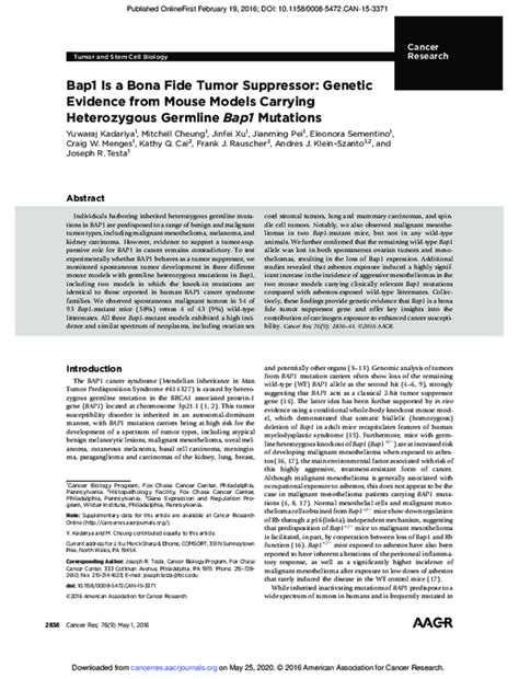 Pdf Data From Bap1 Is A Bona Fide Tumor Suppressor Genetic Evidence