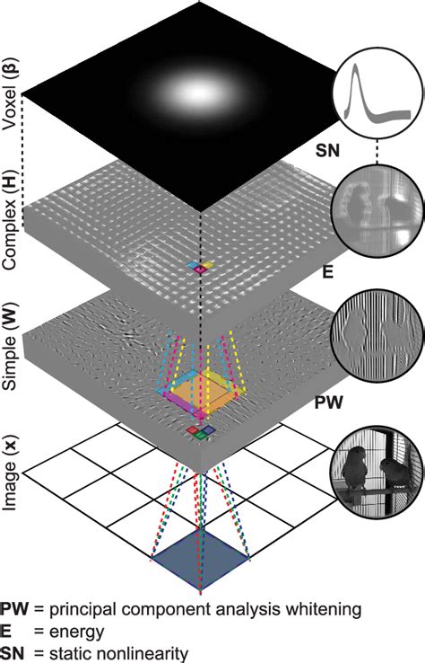Figure 1 From Unsupervised Feature Learning Improves Prediction Of