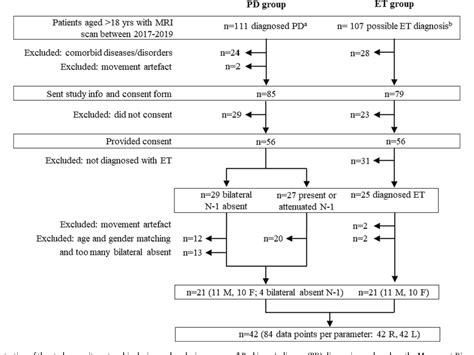 Figure 1 From Simple Quantitative Planimetric Measurement Of Nigrosome 1 For Clinical Settings