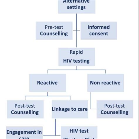 Workflow Of The Easy Test Program Download Scientific Diagram